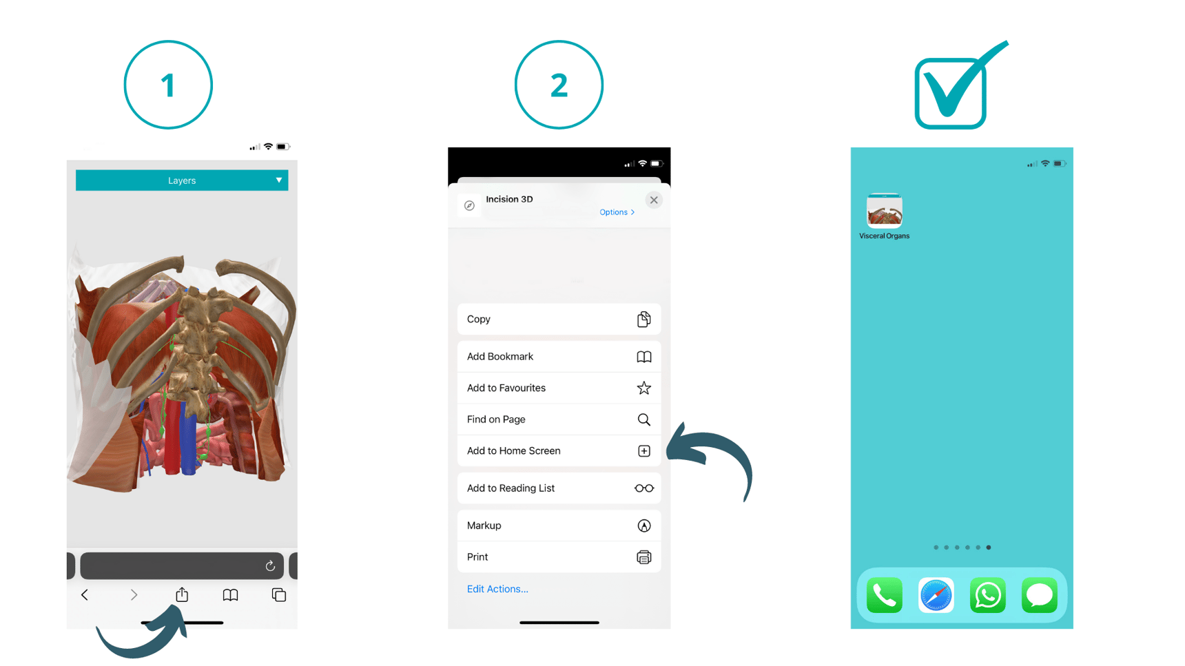 Using the Anatomy app on Incision Academy